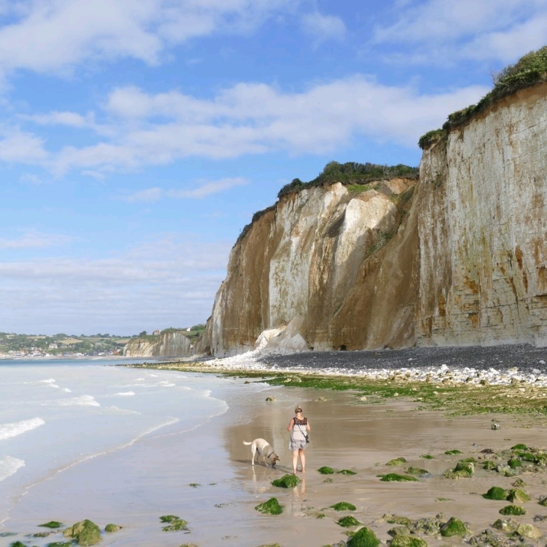 เที่ยวนอร์มังดี (2024) - ที่เที่ยวใน นอร์มังดี, กิจกรรมสนุกๆ, โรงแรม ...