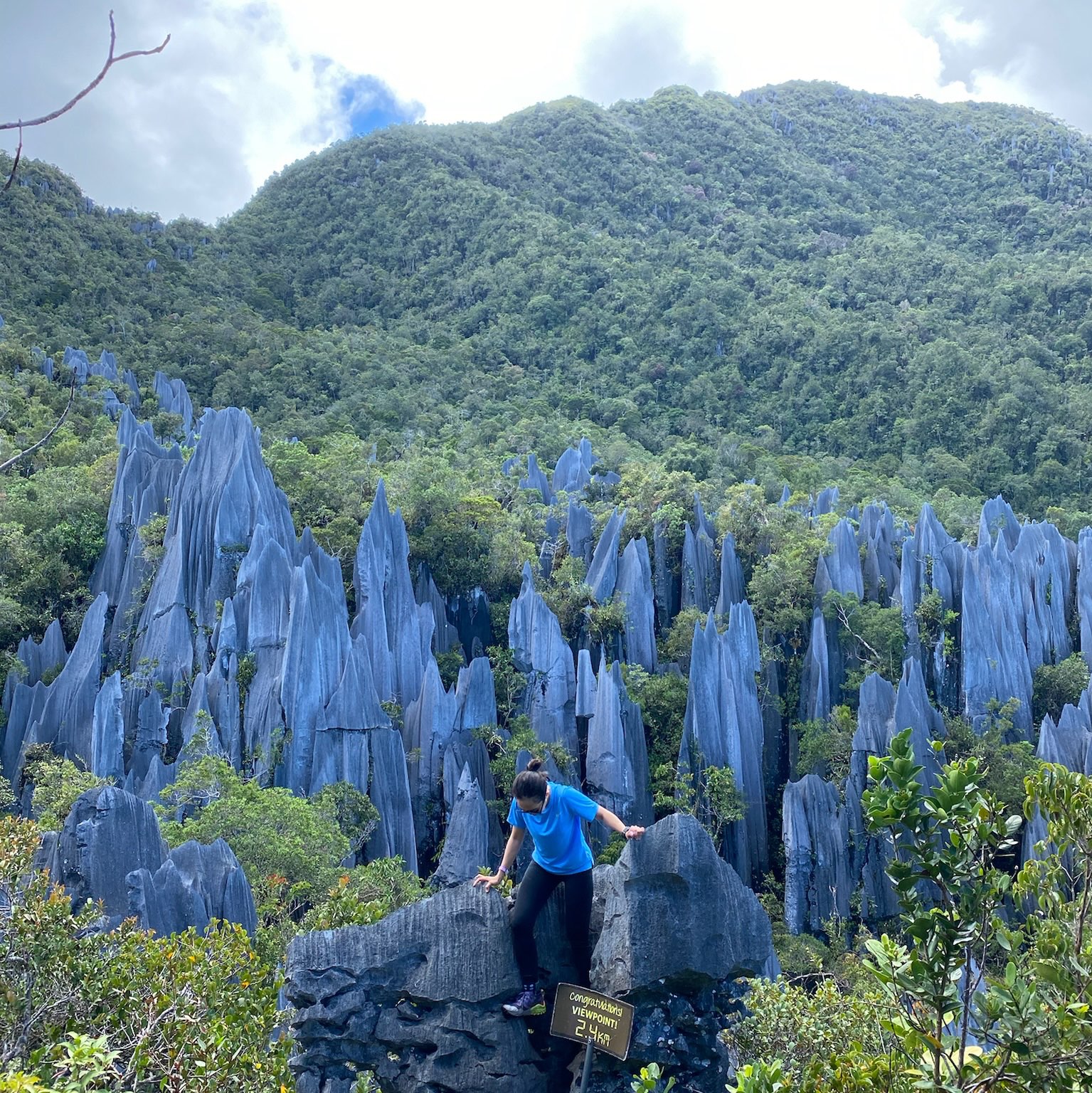 Marudi Travel Guide 2024 - Things to Do, What To Eat & Tips | Trip.com