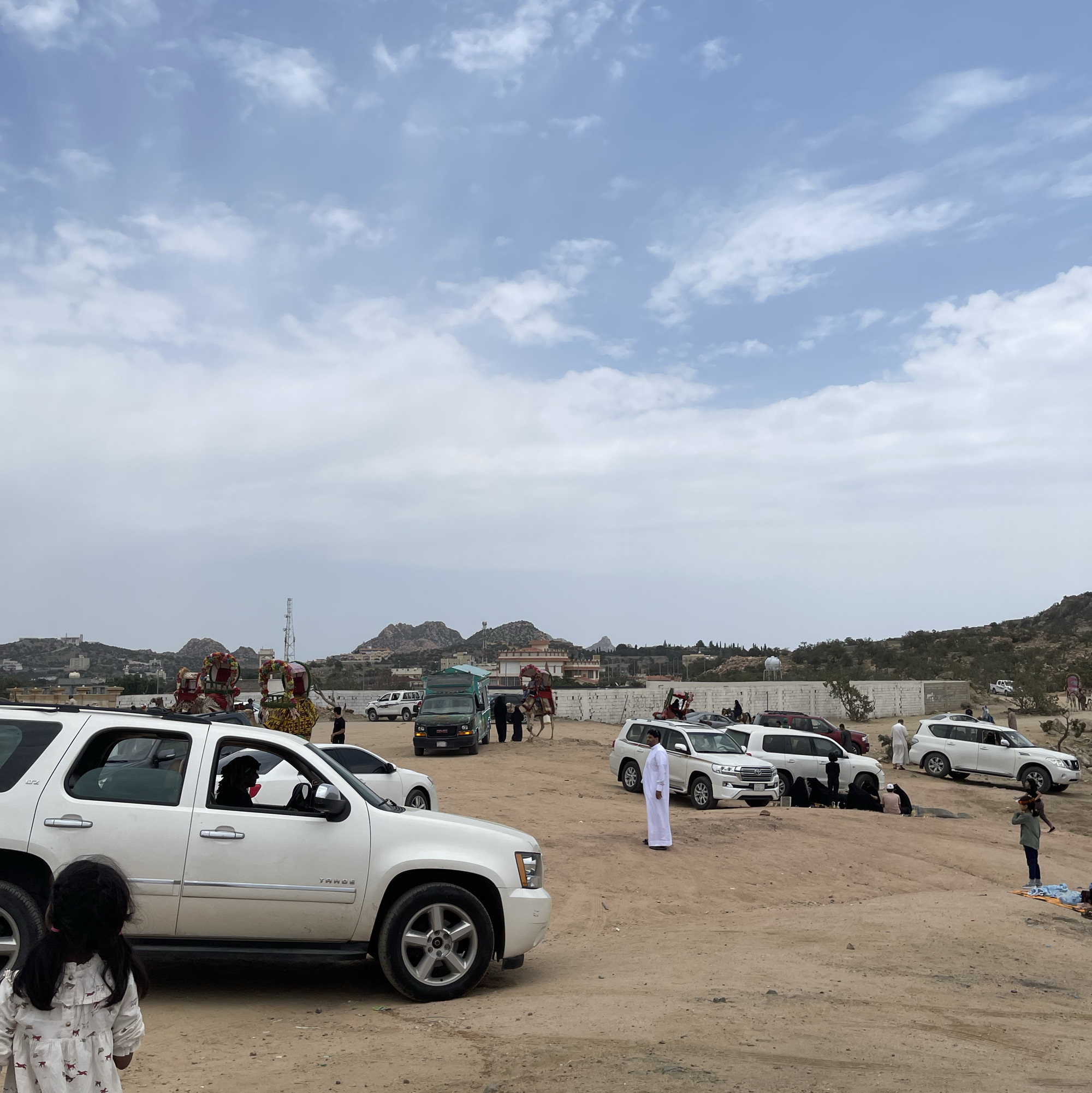 Taif Travel Guide 2024 - Things to Do, What To Eat & Tips | Trip.com