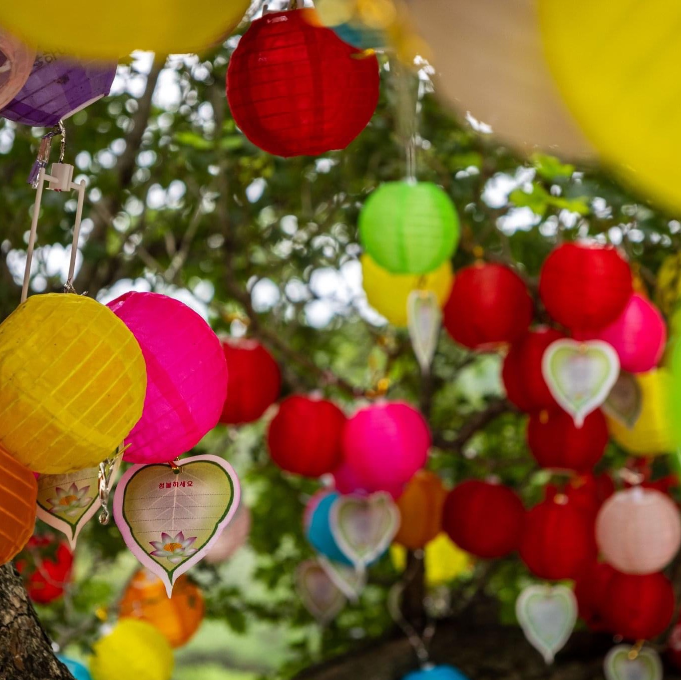 Yesan-gun Travel Guide 2024 - Things to Do, What To Eat & Tips | Trip.com