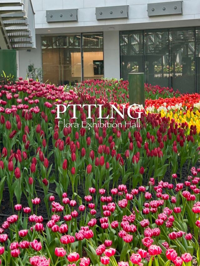 ชมสวนดอกไม้เมืองหนาวที่ PTTLNG มาบตาพุด | Trip.com ระยอง