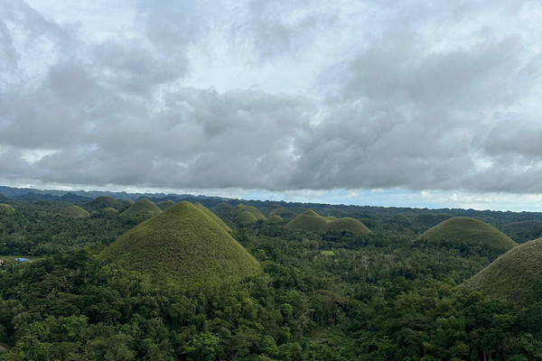 Bohol amazing day trip | Trip.com Bohol Island