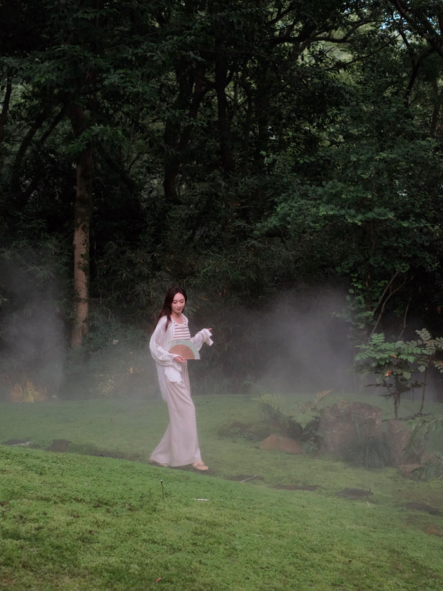 As summer begins to unfold, I retreat to the small forest in West Lake ...