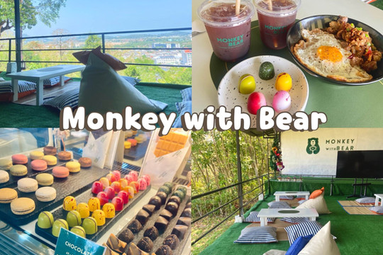 Monkey with Bear - Phuket | Trip.com อำเภอเมืองภูเก็ต