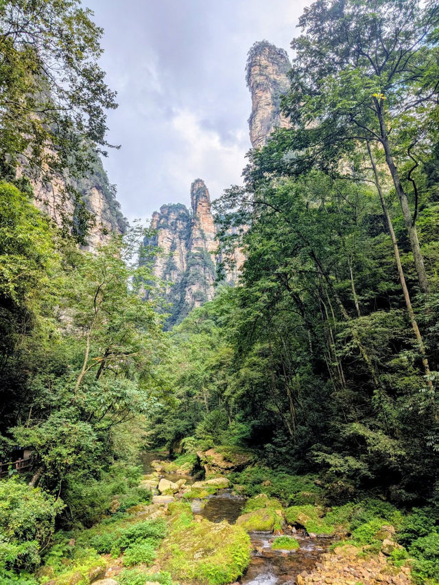 Mystical Peaks and Misty Dreams: My Zhangjiajie Escape | Trip.com ...