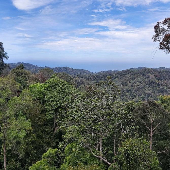 Penang Rainforest Discovery Centre | Trip.com Northeast Penang Island ...