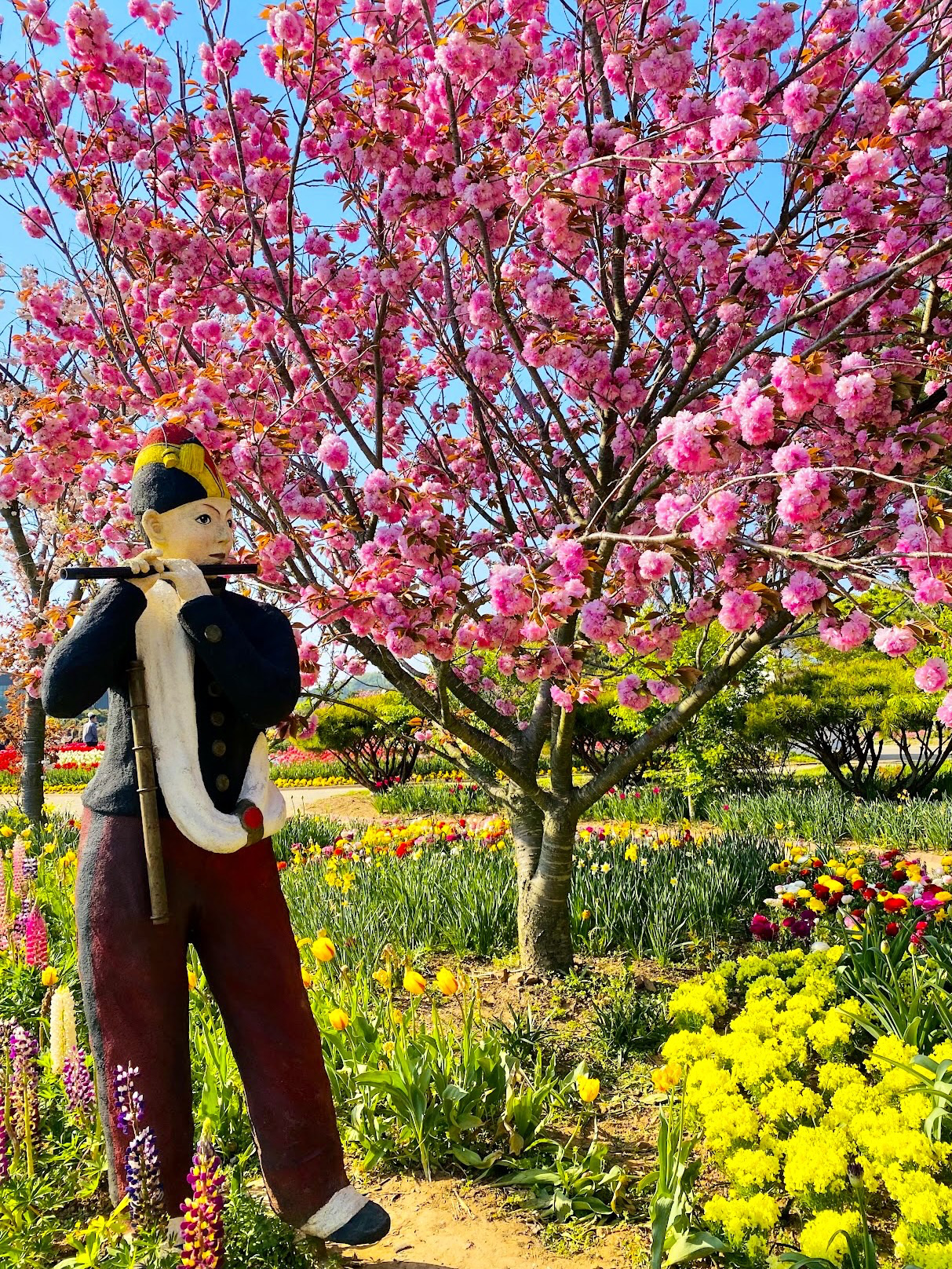 Things to Do in Taean-gun in 2024 - Top Attractions, Local Food, Hotels ...