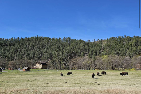 黑山絕美公路之旅。｜Trip.com East Custer