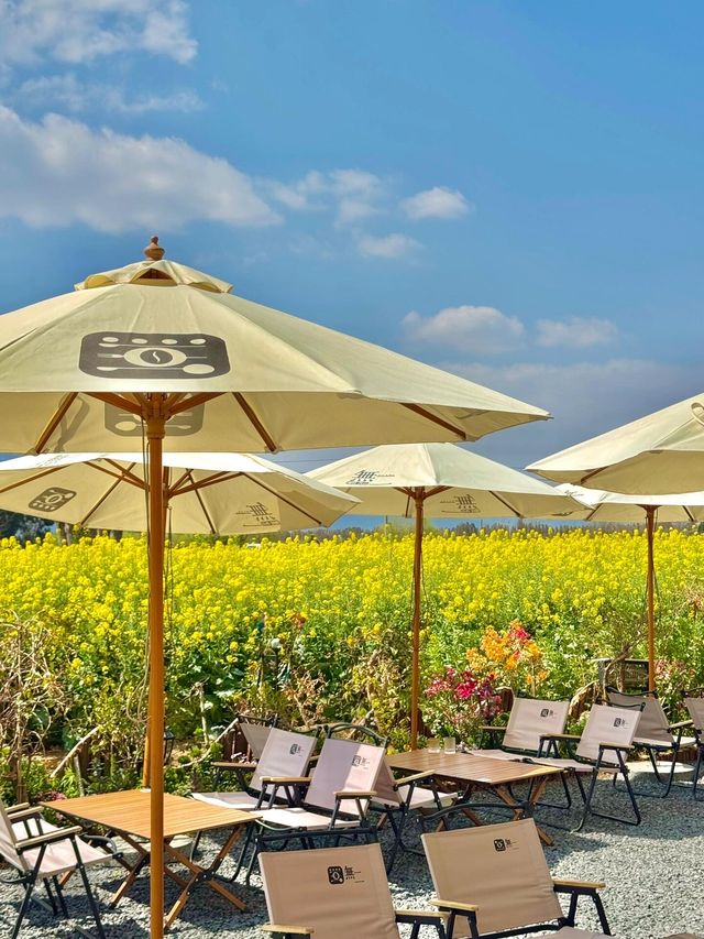 Menikmati Keindahan Bunga di Kunming | Bunga Rapeseed Berwarna-warni di ...