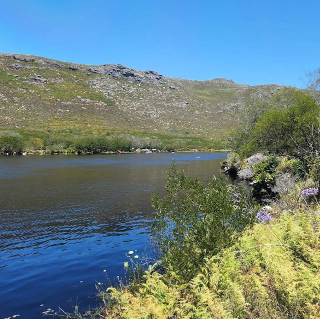 Silvermine Reservoir – Tranquil Escape in Cape Town’s Mountains | Trip ...