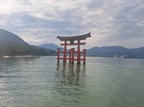 Itsukushima Island and Shrine / Miyajima, Japan 🇯🇵🦌 | Trip.com Hatsukaichi