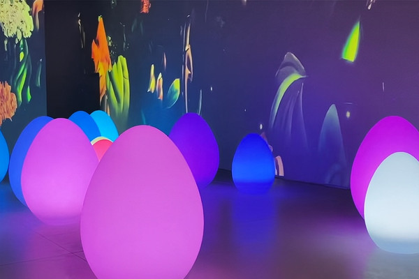 Surreal: AI Dali + Dream Exploration Dali' immersive art exhibition ...