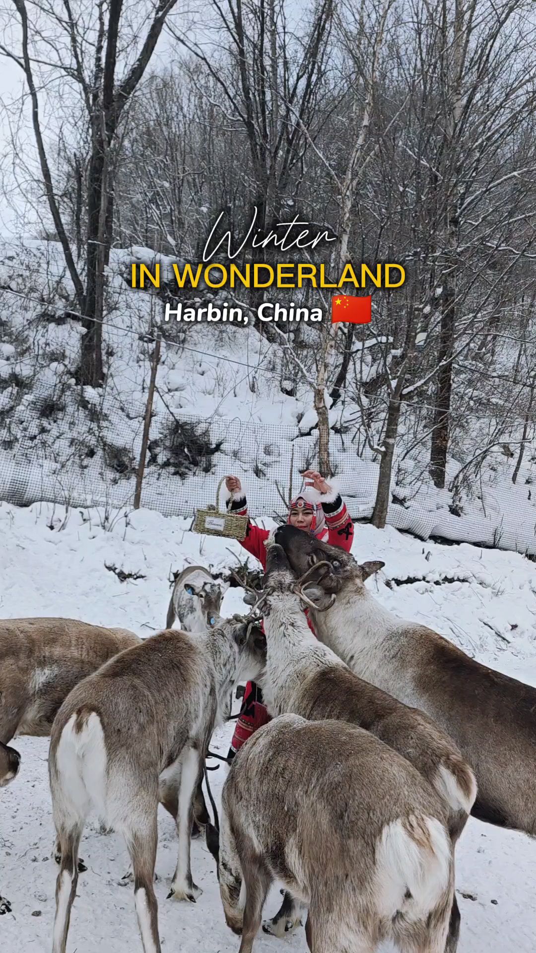 Things to Do in Harbin in 2025 - Top Attractions, Local Food, Hotels ...