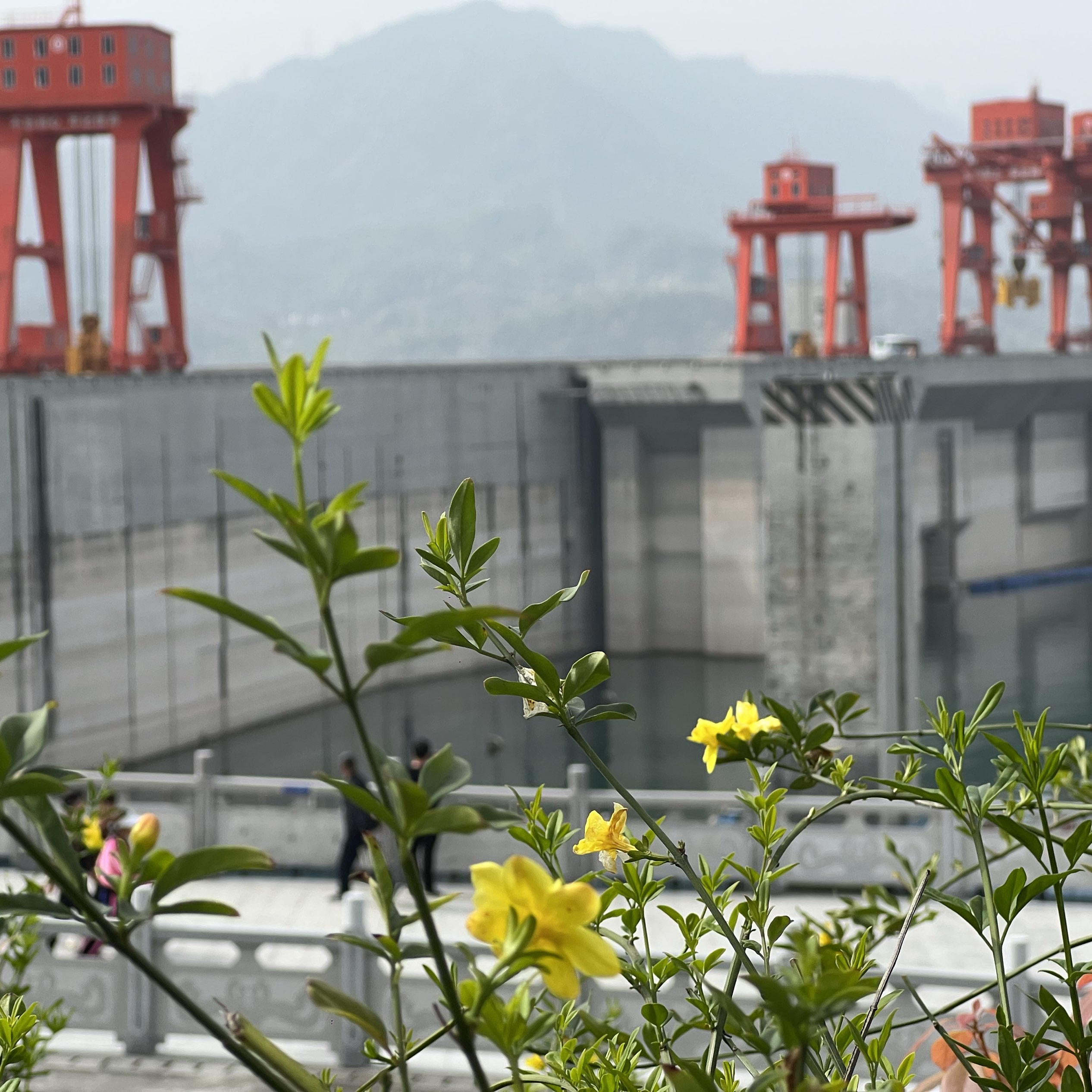 Sanmenxia Travel Guide 2023 - Things to Do, What To Eat & Tips | Trip.com