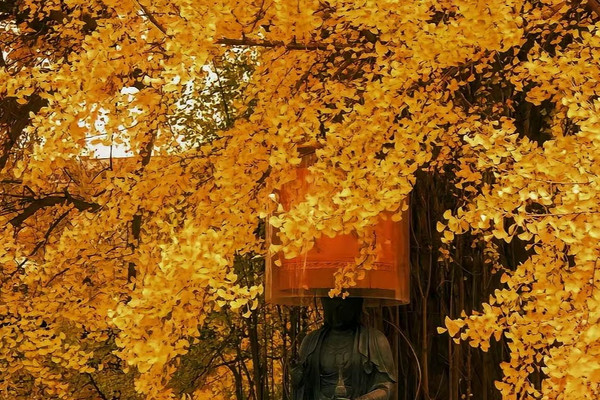 Ancient Guanyin Zen Temple| Must see the most beautiful thousand-year ...