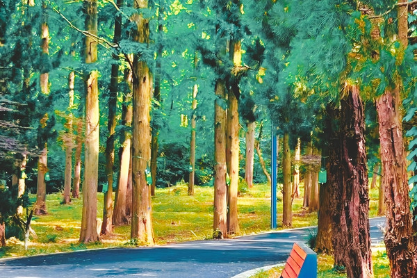 I stayed in Chongming for one night this week, let's take a look at ...