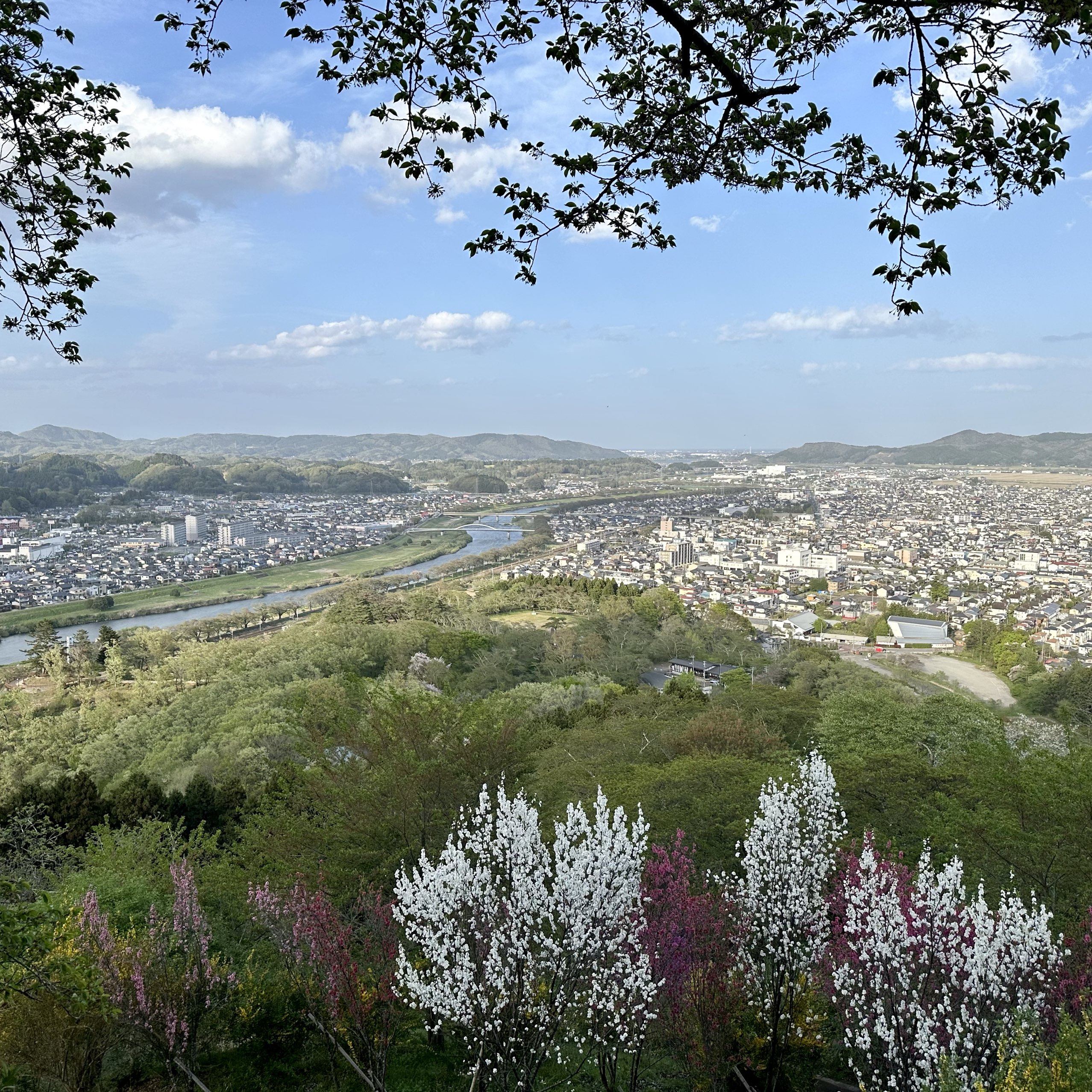 Shibata Travel Guide 2023 - Things to Do, What To Eat & Tips | Trip.com