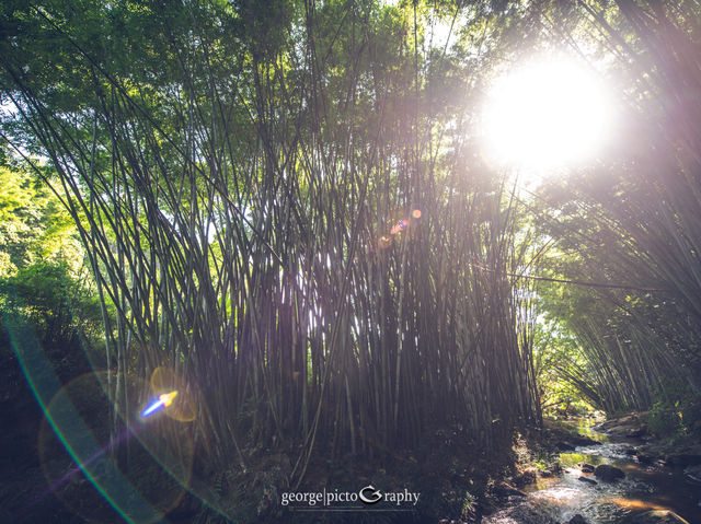 Hidden Gem of Huangpu Changling Trail@Guangzhou | Trip.com Huangpu District