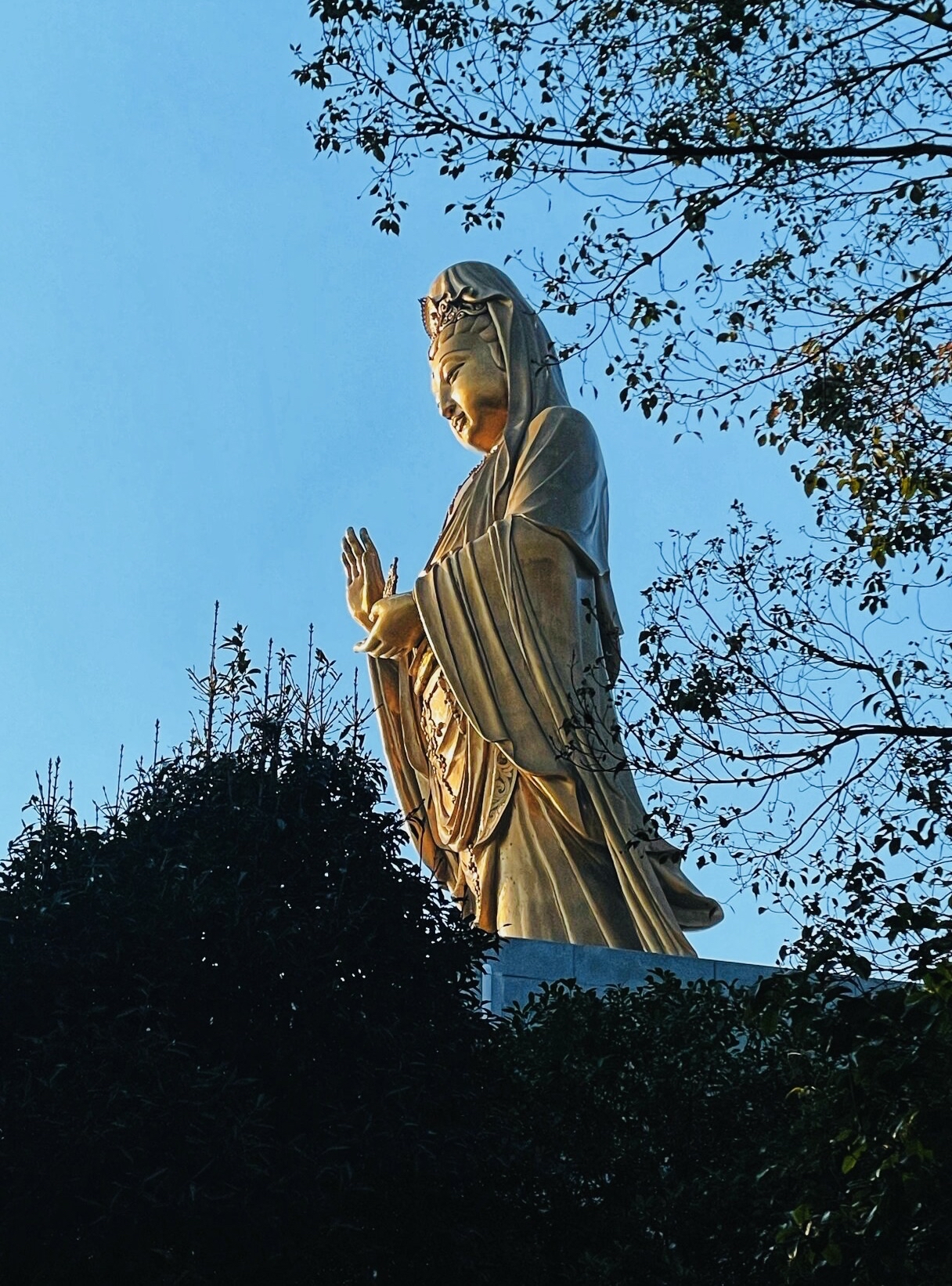 Things to Do in Zhoushan in 2024 - Top Attractions, Local Food, Hotels ...