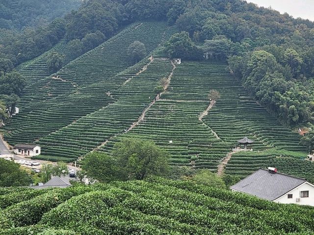 Just touched down in Hangzhou? | Trip.com Hangzhou