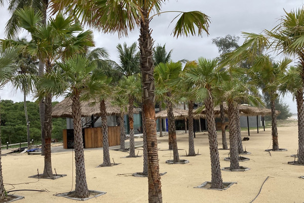 Forest Beach Resort | Trip.com Yaring