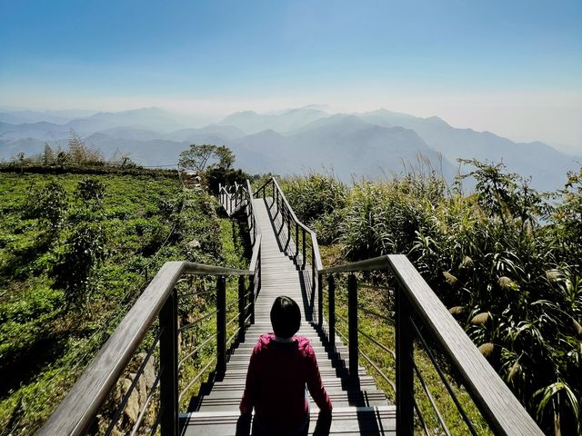 🍵 6 Walking Trails at Shizhuo, Alishan 🍃 | Trip.com Alishan Township