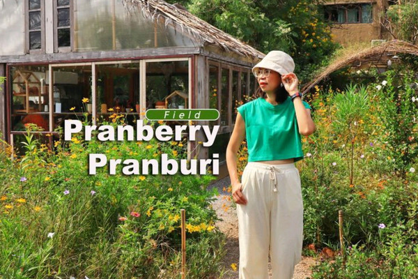 Pranberry หาร์มคาเฟ่สุดคิวท์แห่งปราณบุรี | Trip.com