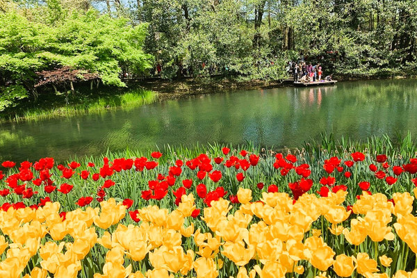 Spring in Prince Bay Park | Trip.com Hangzhou
