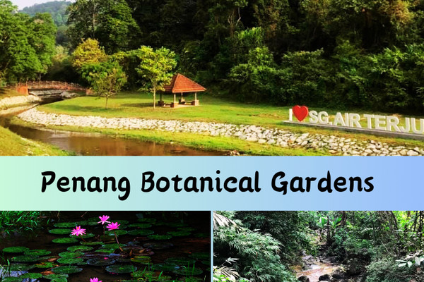 Tranquility at Penang Botanic Gardens | Trip.com Northeast Penang Island