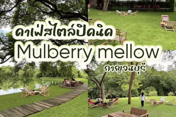 🫐Mulberry Mellow เป็นคาเฟ่เหมาะการพักผ่อน | Trip.com กาญจนบุรี