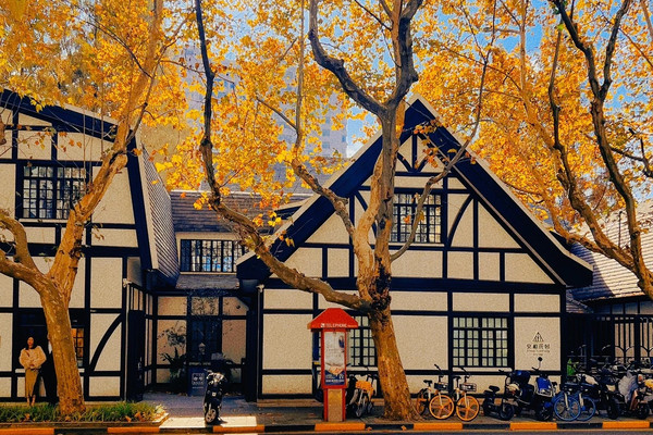 Shanghai Citywalk | Can be called the romantic ceiling of winter | Trip ...
