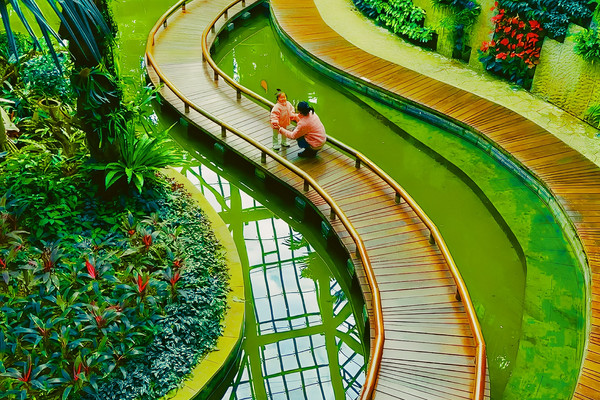 Family trip around Shenzhen, Huizhou Botanical Garden | Trip.com Huizhou
