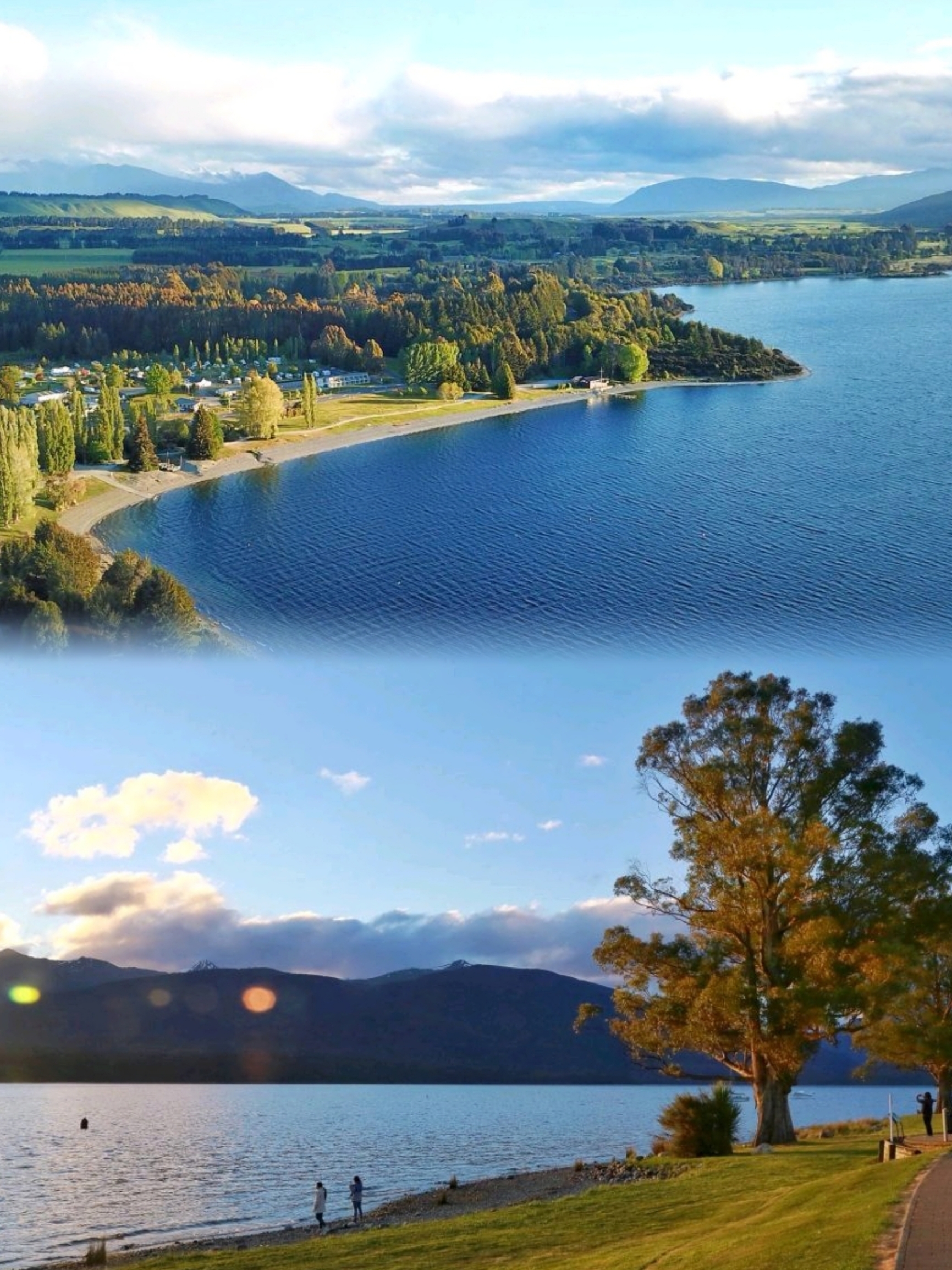 Things to Do in Te Anau in 2024 - Top Attractions, Local Food, Hotels ...