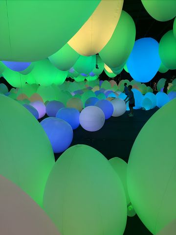 火遍全球的teamlab來深圳啦｜Trip.com 深圳