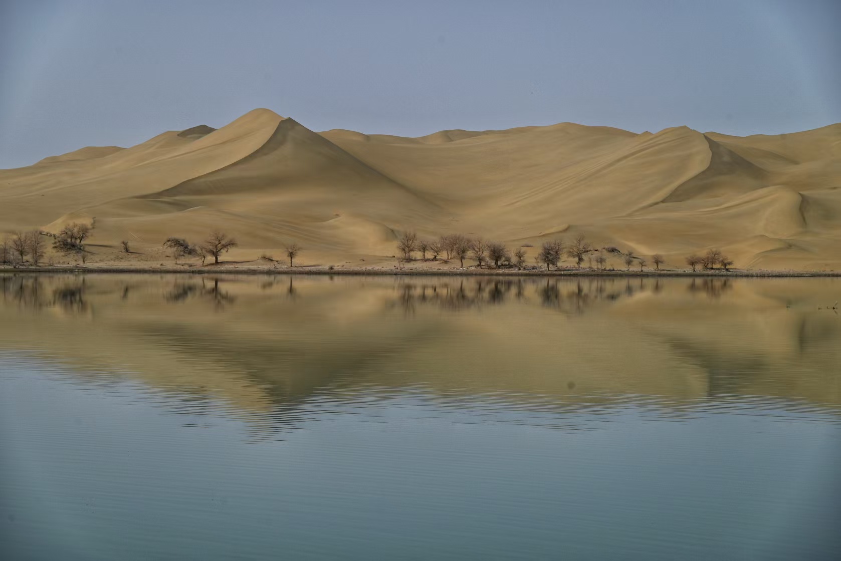 Tarim River Mongolia