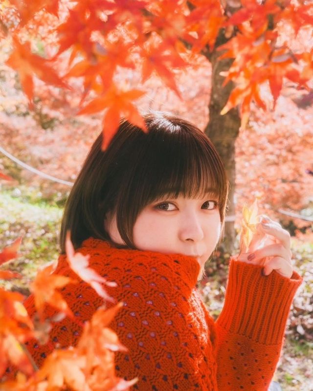Autumn Special! Capture stunning autumn scenes in Akita Forest with ...