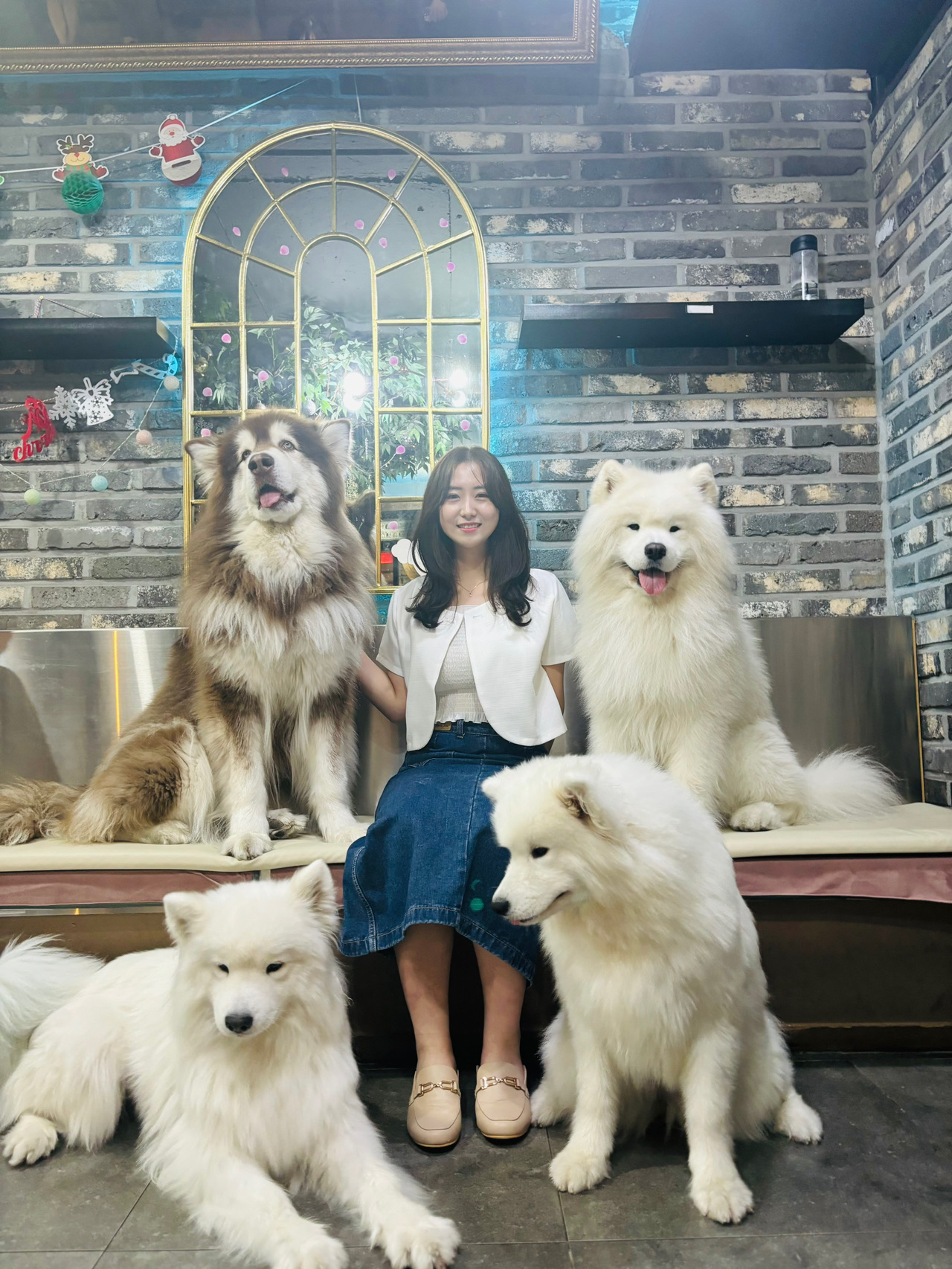 서울여행 (2024) - 인기 여행지, 추천 코스, 맛집 정보 | 트립닷컴