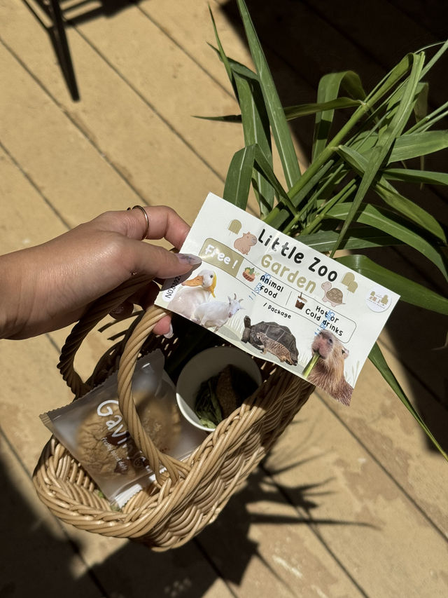 Little Zoo Garden in Bangkok — a cozy mini-zoo where kids can feed and interact with animals ...