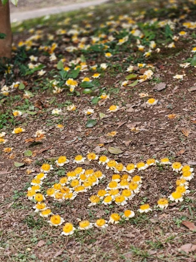 Canvas of Fall: The Chrysanthemum Art Extravaganza | Trip.com Hangzhou