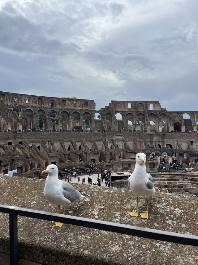 Explore the Colosseum | Trip.com Rome