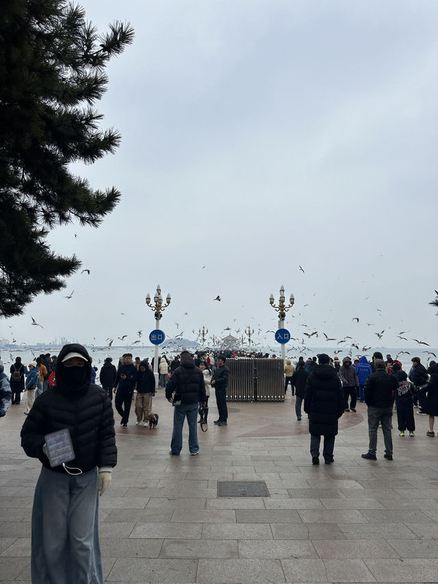 Qingdao's landmark with a beautiful sea view 🏯 | Trip.com Qingdao