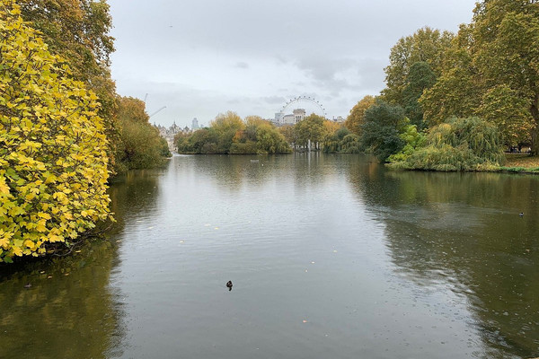 St. James Park: London's Serene Urban Escape | Trip.com London