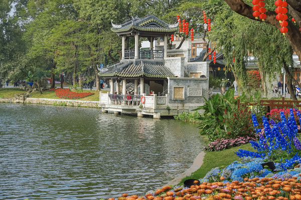 Spring has come early in Guangzhou, and the city is full of flowers for ...