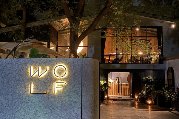 《Wolf 984》 每人4000THB起的泰國新派fusion菜｜Trip.com 沙吞區