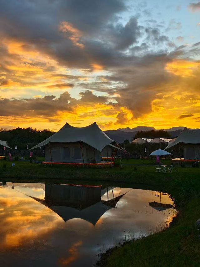 Lijiang's Ultimate Camping Flower Sea Secret | Trip.com Lijiang