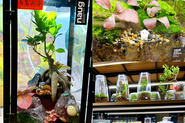 Naug Just Plants Bringing Greenery Indoors | Trip.com Tebrau