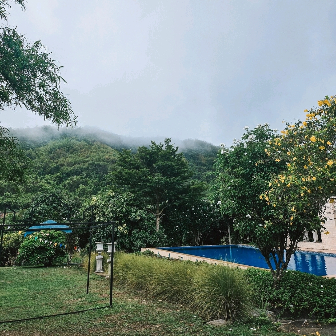 Things to Do in Suan Phueng in 2024 - Top Attractions, Local Food ...