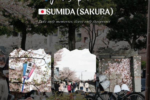 🌸 Sumida Park – ซากุระคู่ตึก Tokyo Skytree | Trip.com โตเกียว