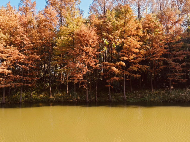 The Blue House Sanctuary: Mediterranean Vibes at Minhang Cultural Park ...