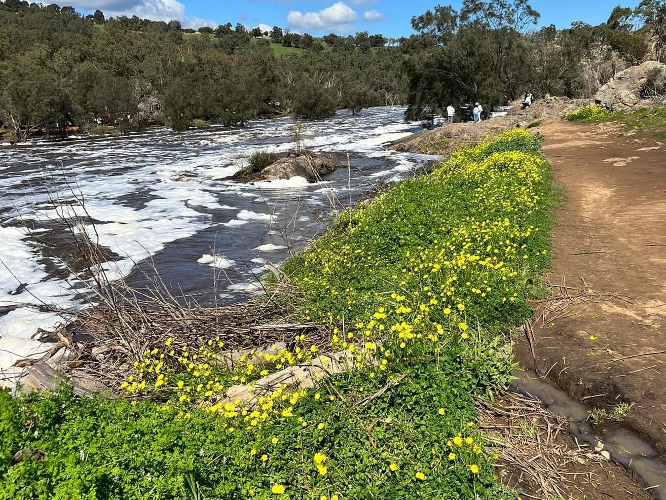 Upper Swan Travel Guide 2024 - Things to Do, What To Eat & Tips | Trip.com